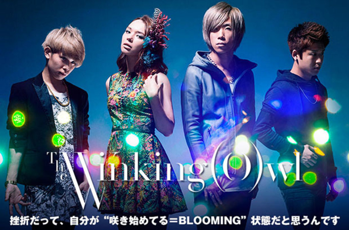 エモーショナル・ロックの新星、The Winking Owlのインタビュー＆動画公開。世界基準のロック・サウンドと心に響く日本語詞が高次元で ...